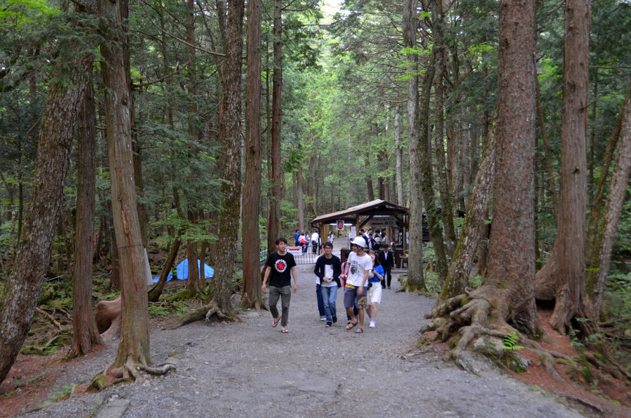 Fugaku Wind Cave In Aokigahara Japan By Web
