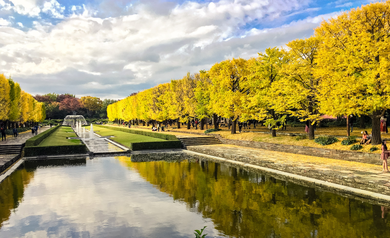 Autumn in Showa Kinen Park - Japan by web